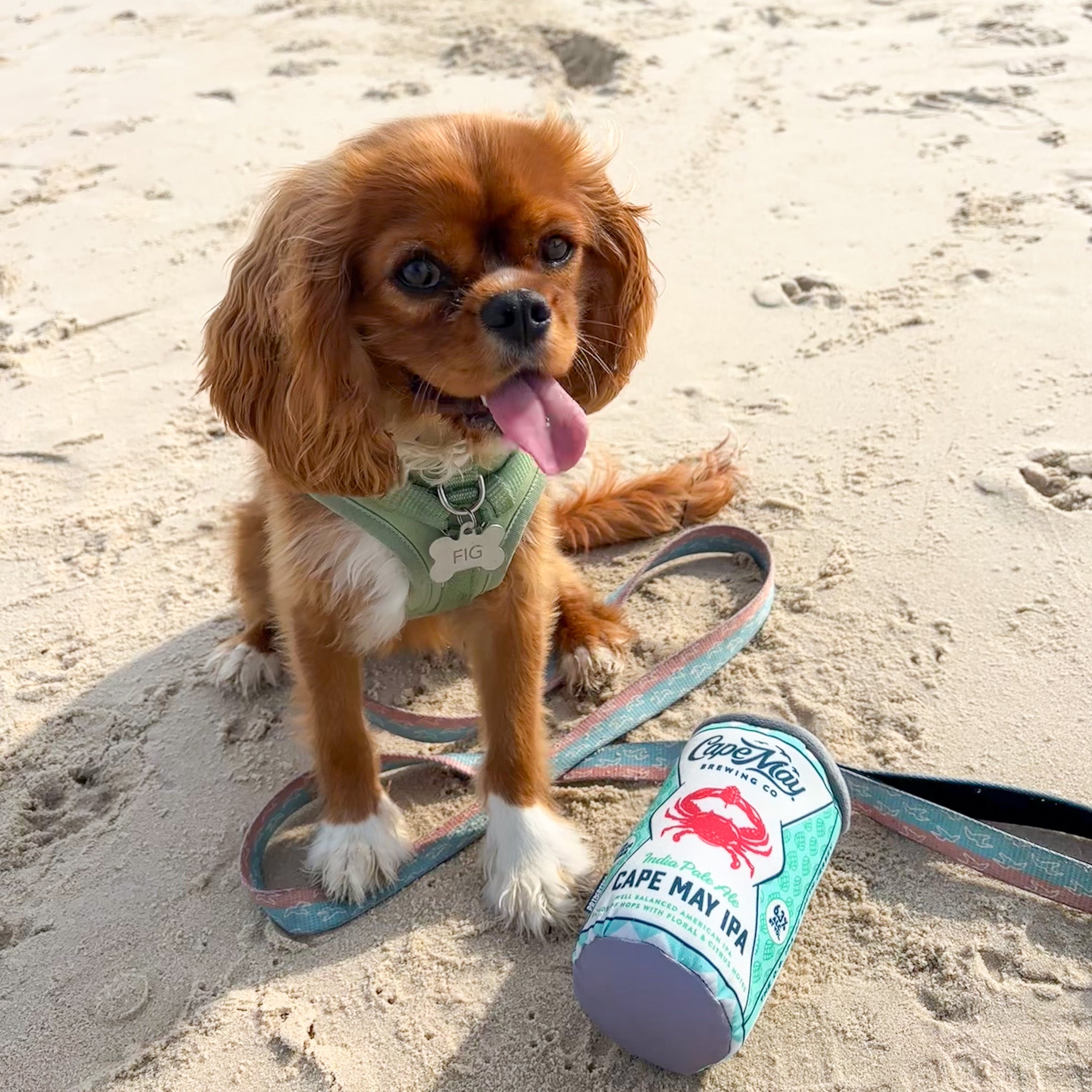 IPA Plush Toy – Cape May Brewing Company