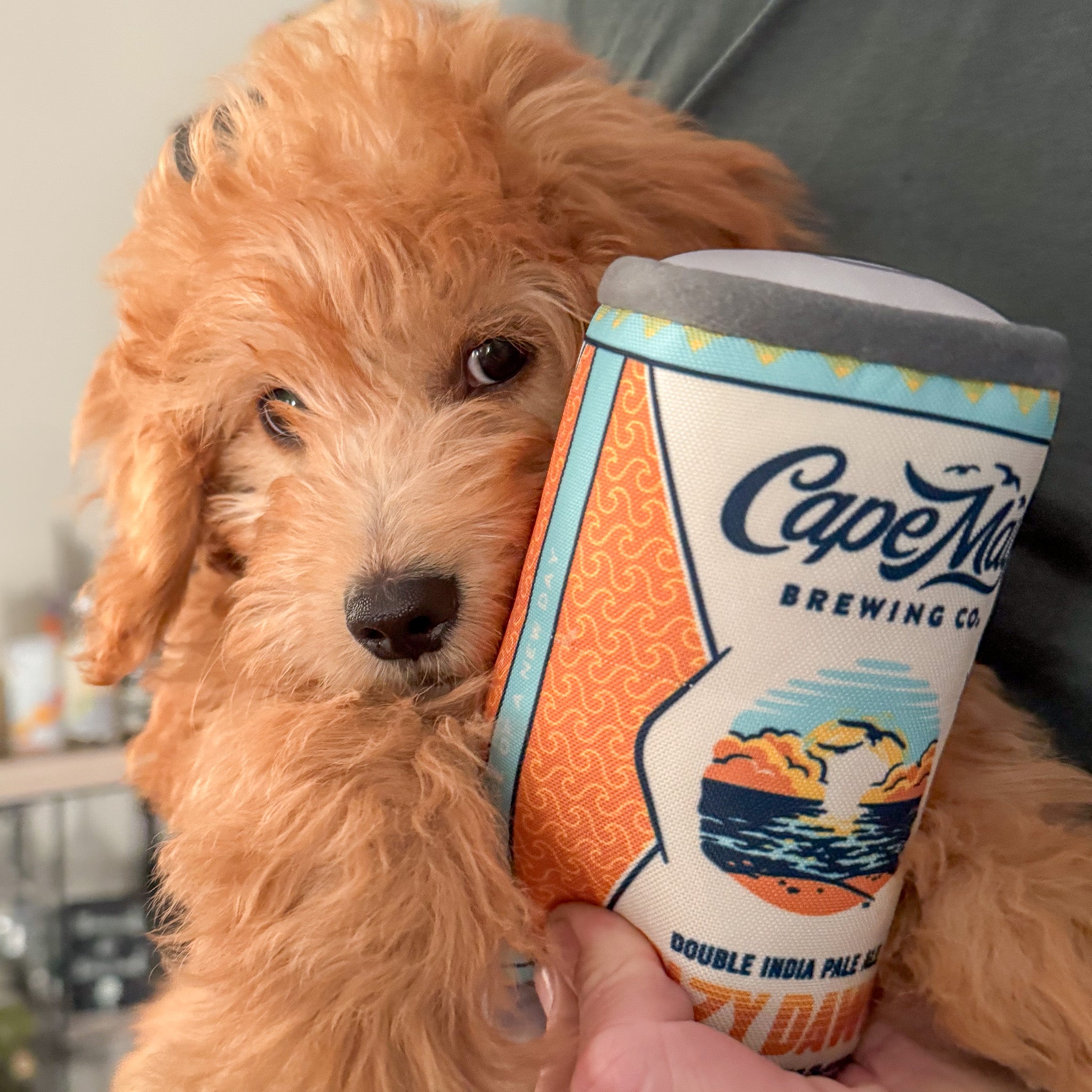 Hazy Dawn Plush Dog Toy – Cape May Brewing Company
